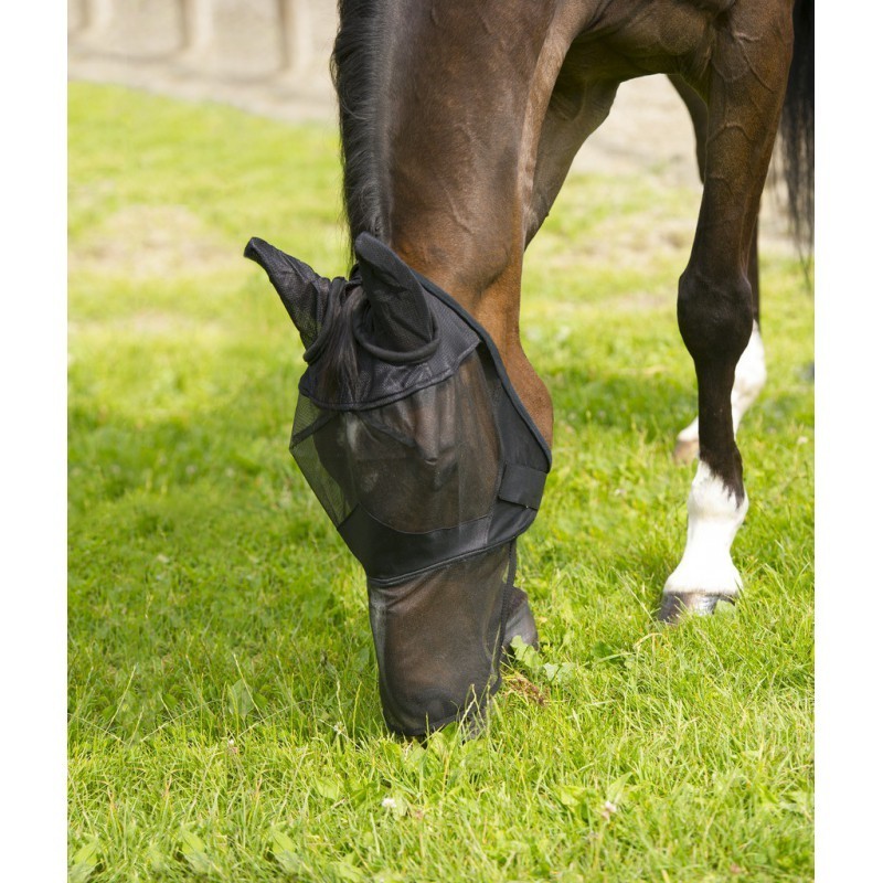 Anti Mouche Maison Pour Chevaux | Ventana Blog