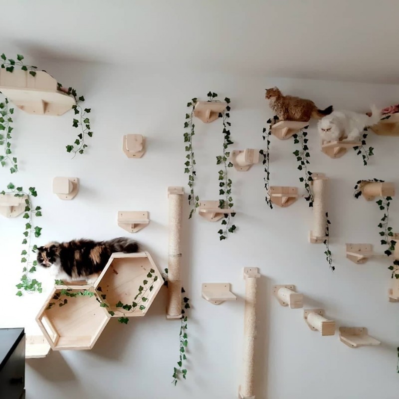 Parc Wood | Chat | Parcours Mural XXL en bois pour chat